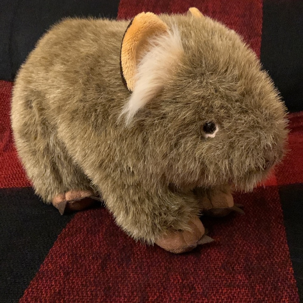 Australian Way Wombat Plush 12” - Gem
